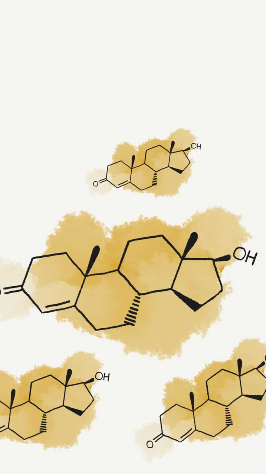 Hormone Hub - Hormonally