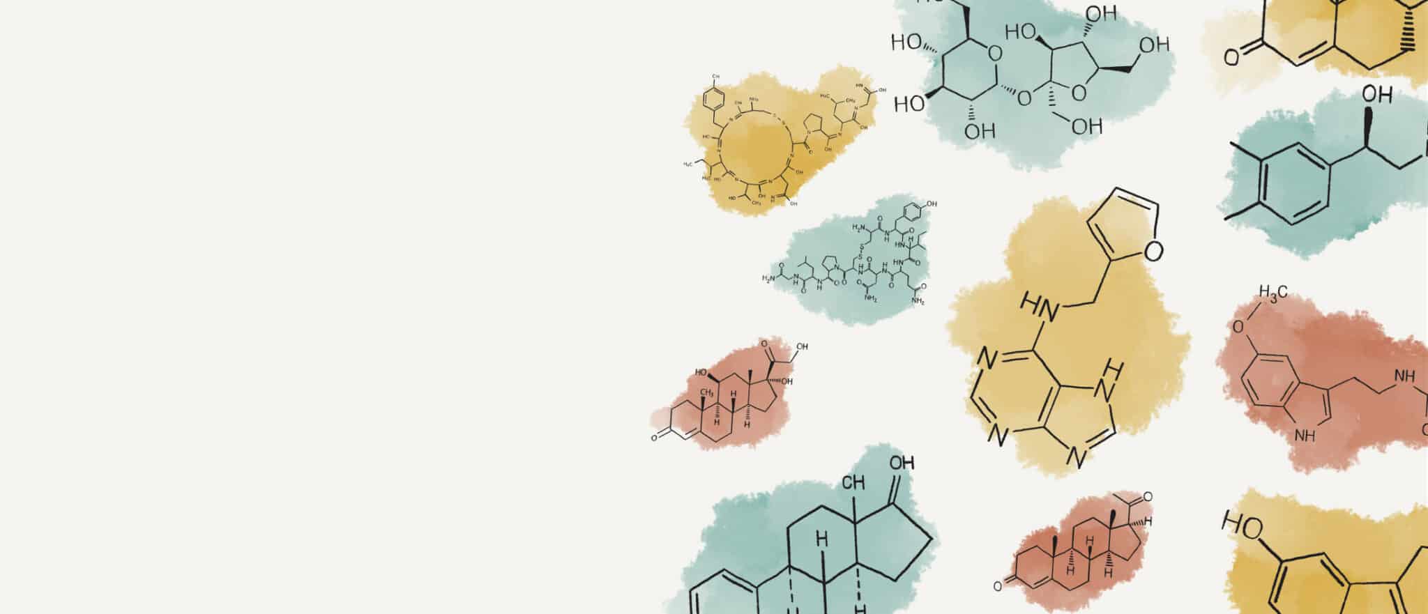Hormones Explained - Hormonally