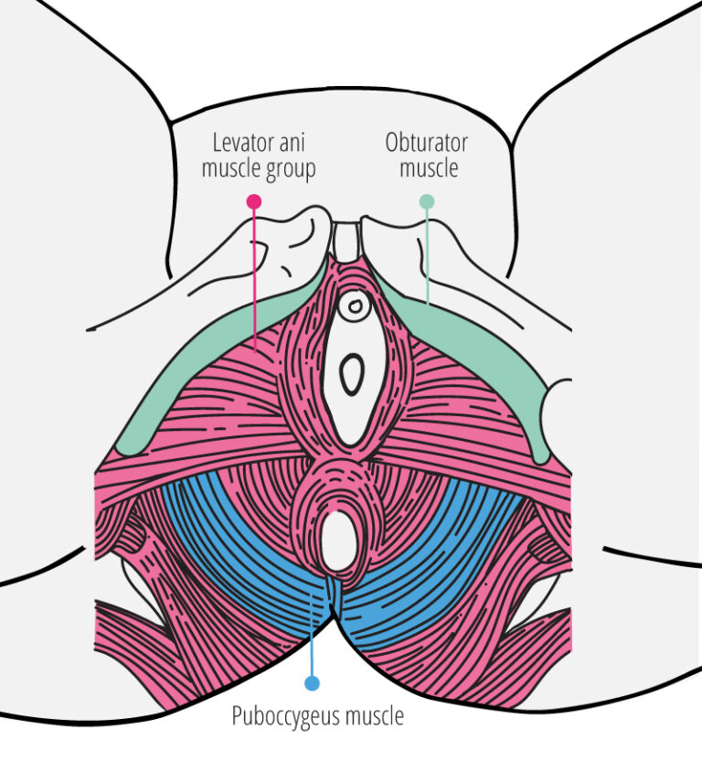 Vulva Map - Hormonally